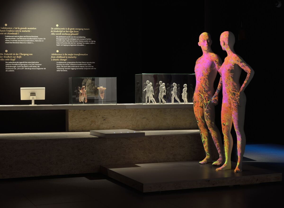 As the official ambassador of Aluvision modular systems, we invite you ...